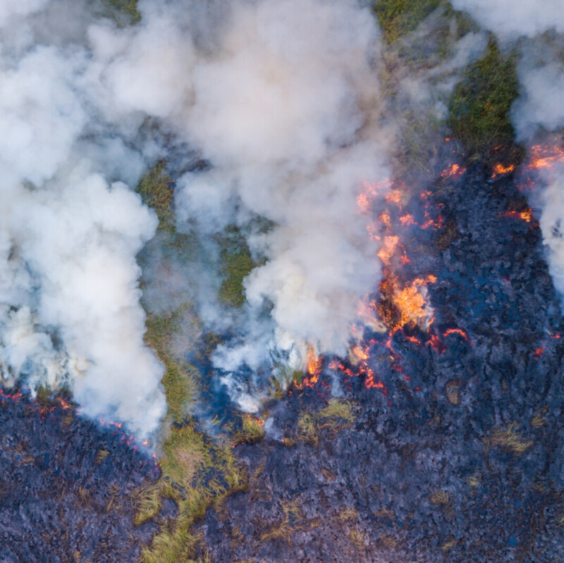 Amazonija v tekmi s časom: kje in kako zaščititi 80 % ozemlja do leta ...