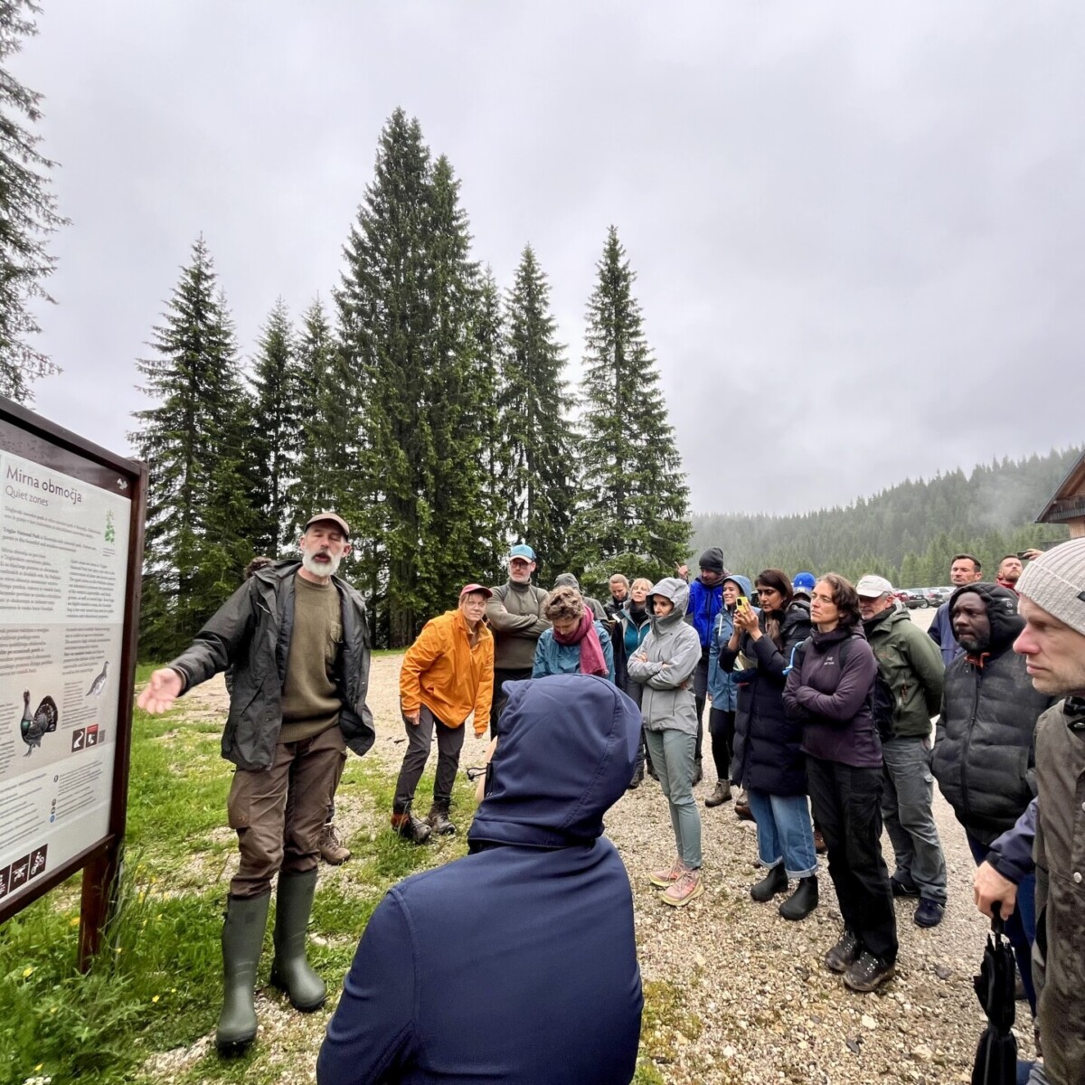 Gostimo srečanje Forest Movement Europe - Focus